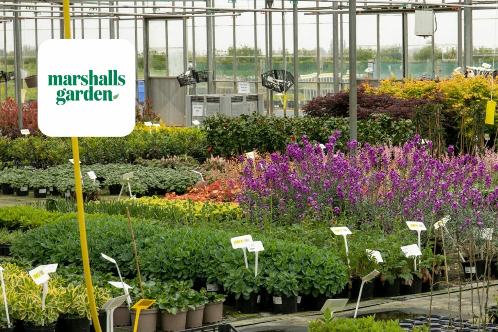 Marshalls Garden sees impressive revenue growth