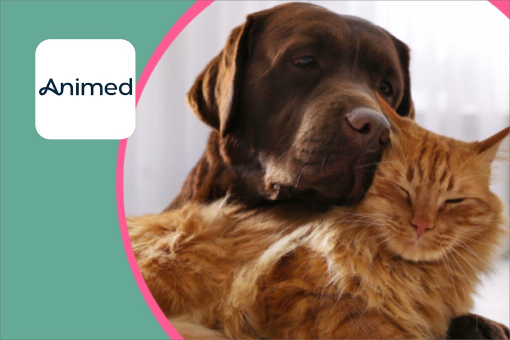 Animed Direct | Dotdigital